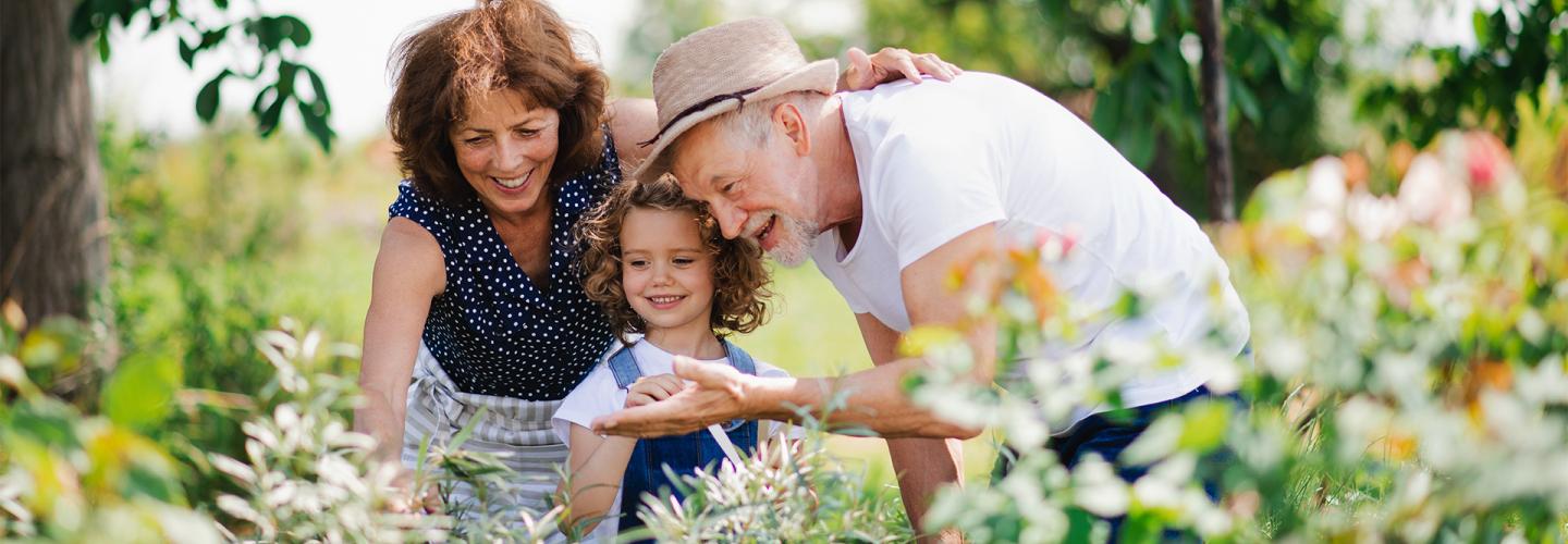 What are the Benefits of Saving Early? | Elevated Wealth Partners LLC