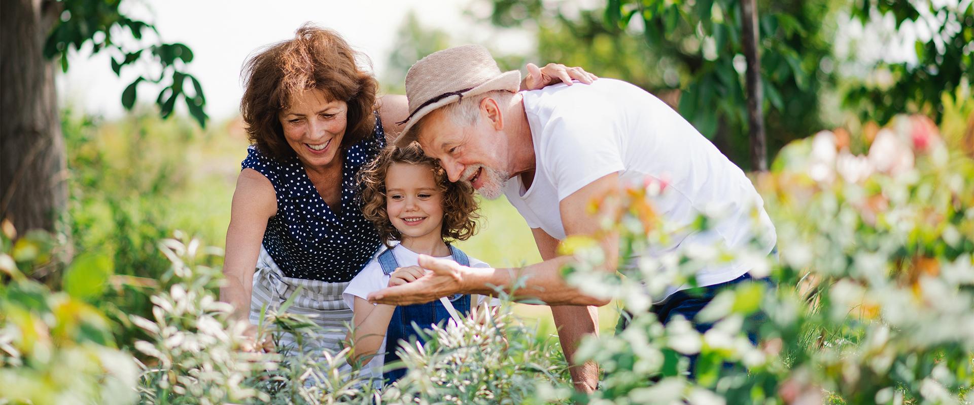 The Importance of Proper Planning for a Physically Ill Spouse or Loved ...